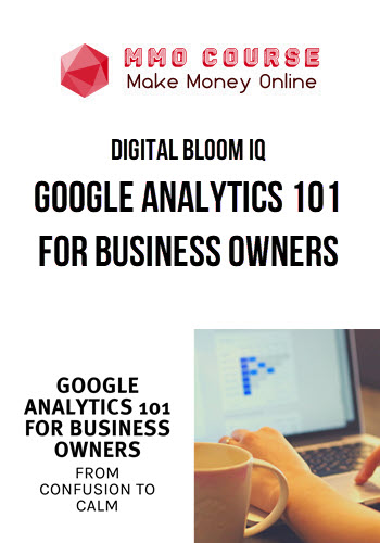 Download Digital Bloom IQ – Google Analytics 101 For Business Owners ...